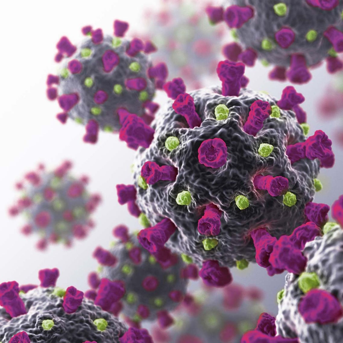 Lung Organoids | Human Airway Organoids | Corning